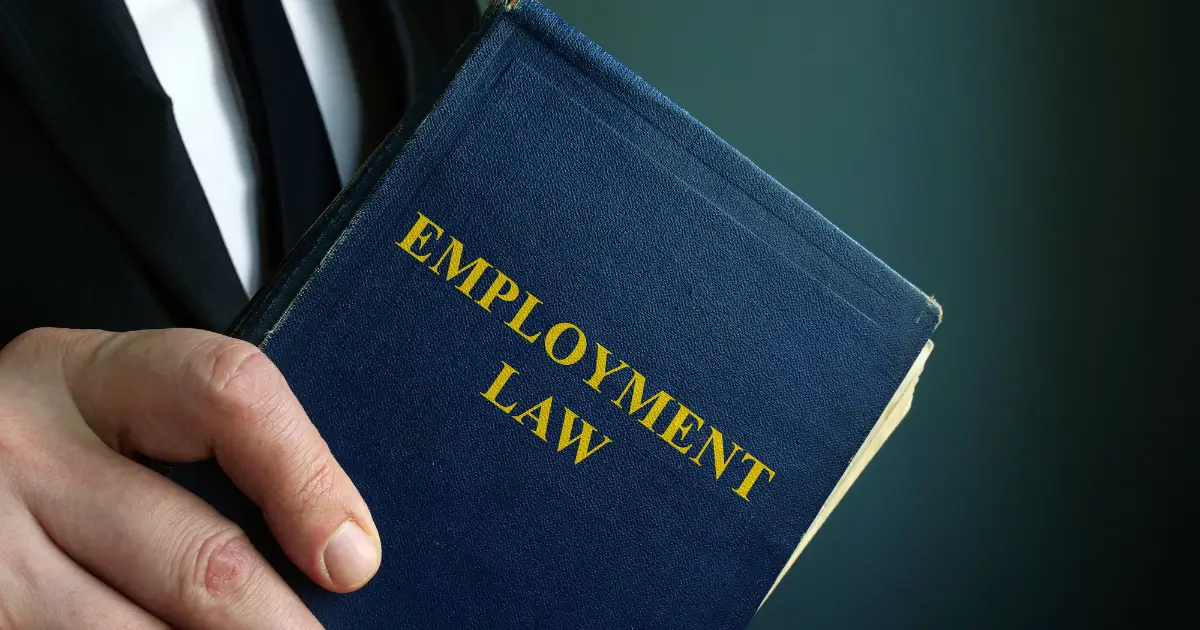 Navigating Employment Laws: Hiring Your First Staff Member in New ...
